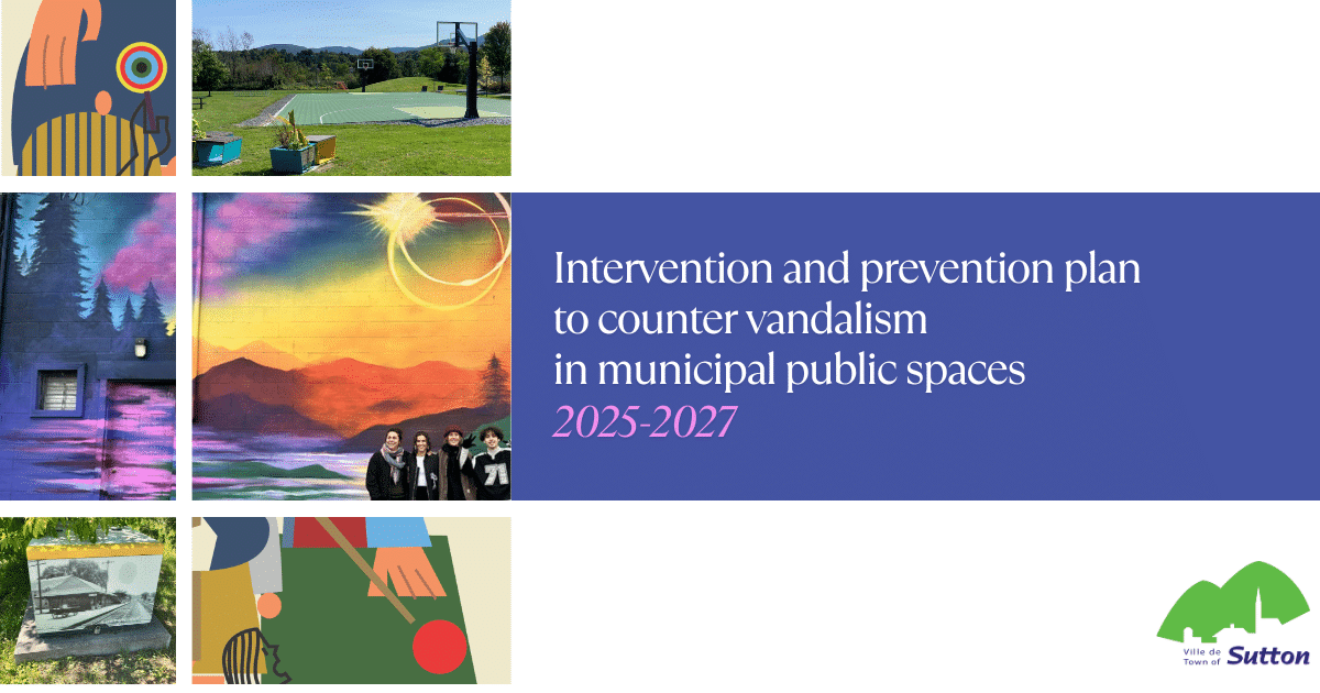 Adoption of a municipal intervention and prevention plan to counter ...